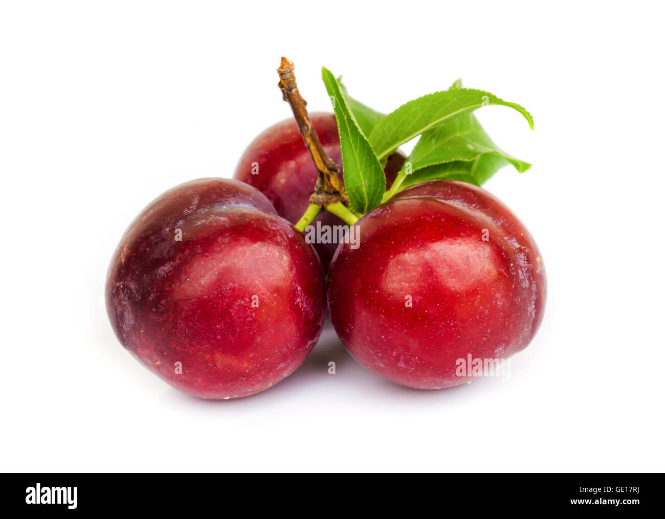 Three ripe plums leaves hi-res stock photography and images - Alamy