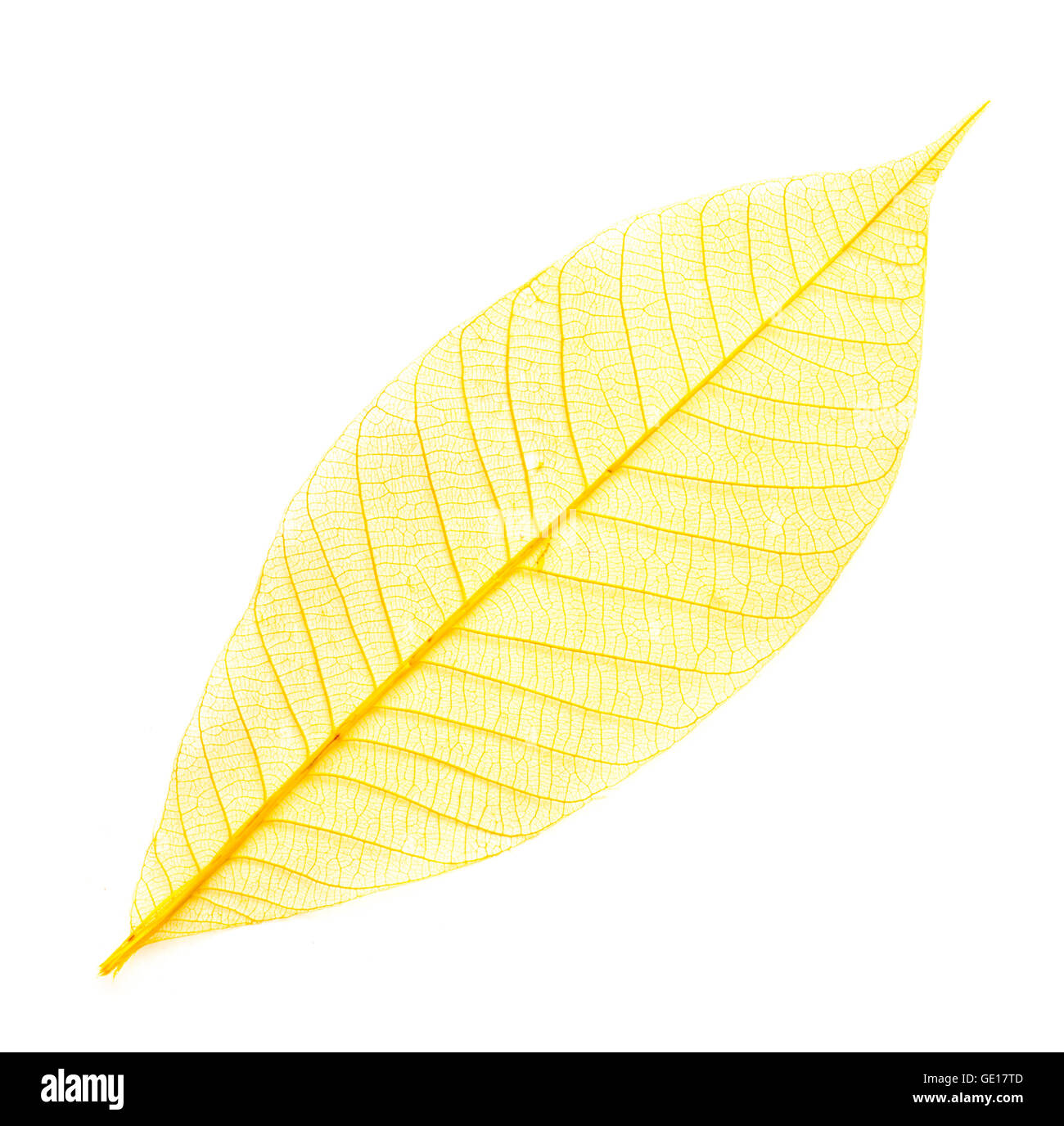 Transparent detail Cut Out Stock Images & Pictures - Alamy