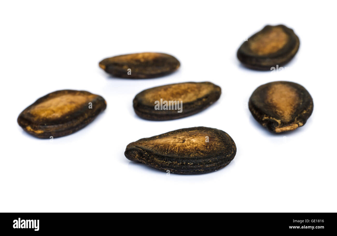 roasted watermelon seed , Food Snack on white background Stock Photo ...
