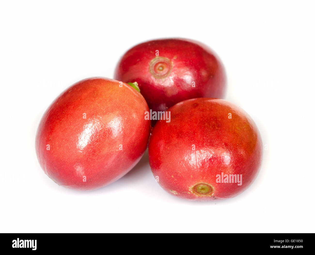 red ripe coffee beans isolated on white background Stock Photo - Alamy