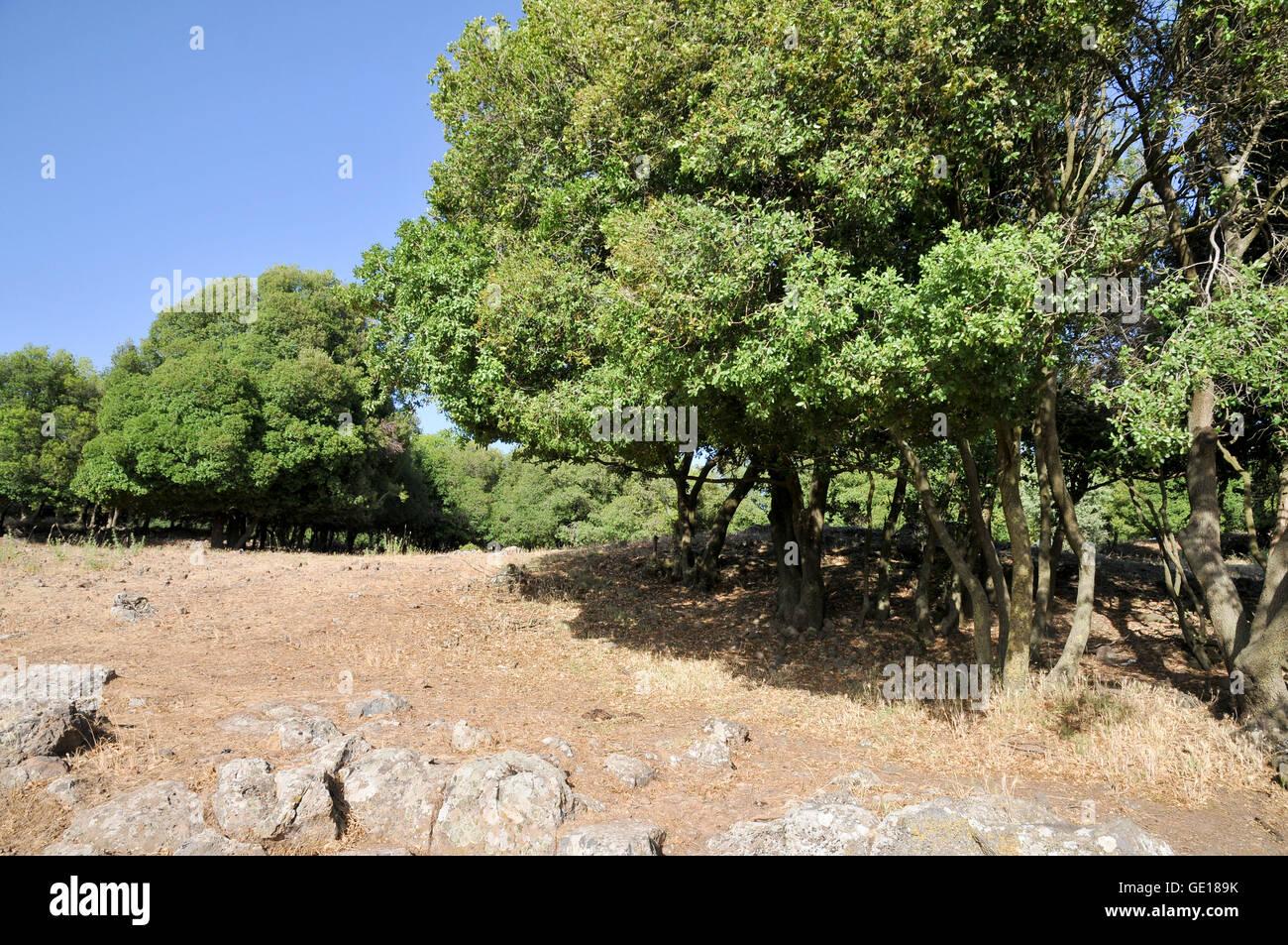 Odem hi-res stock photography and images - Alamy