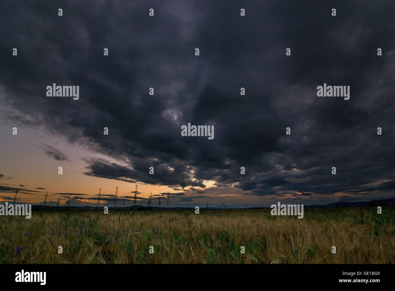 Summer landscape with stormy sky over fields Stock Photo - Alamy