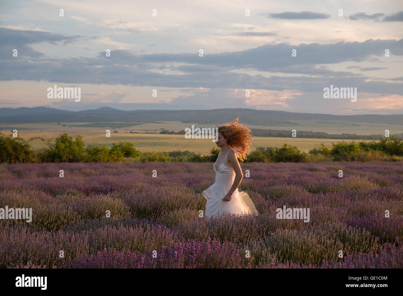 Running through the field hi-res stock photography and images - Alamy