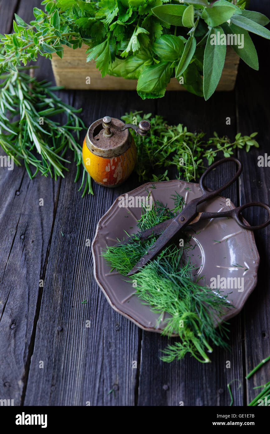 Fresh herbs, plate and scissors Stock Photo - Alamy