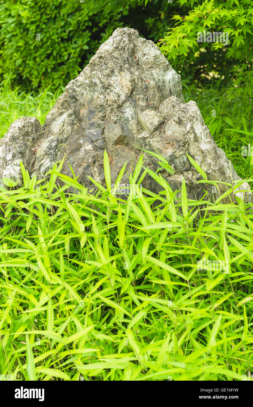 Rock and green grass Stock Photo - Alamy