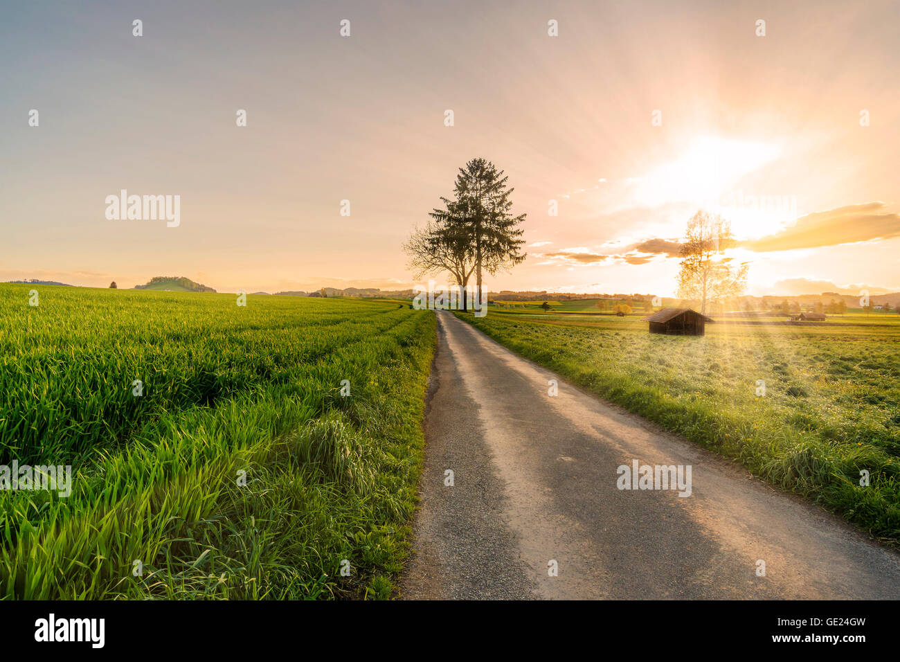 Landside hi-res stock photography and images - Alamy