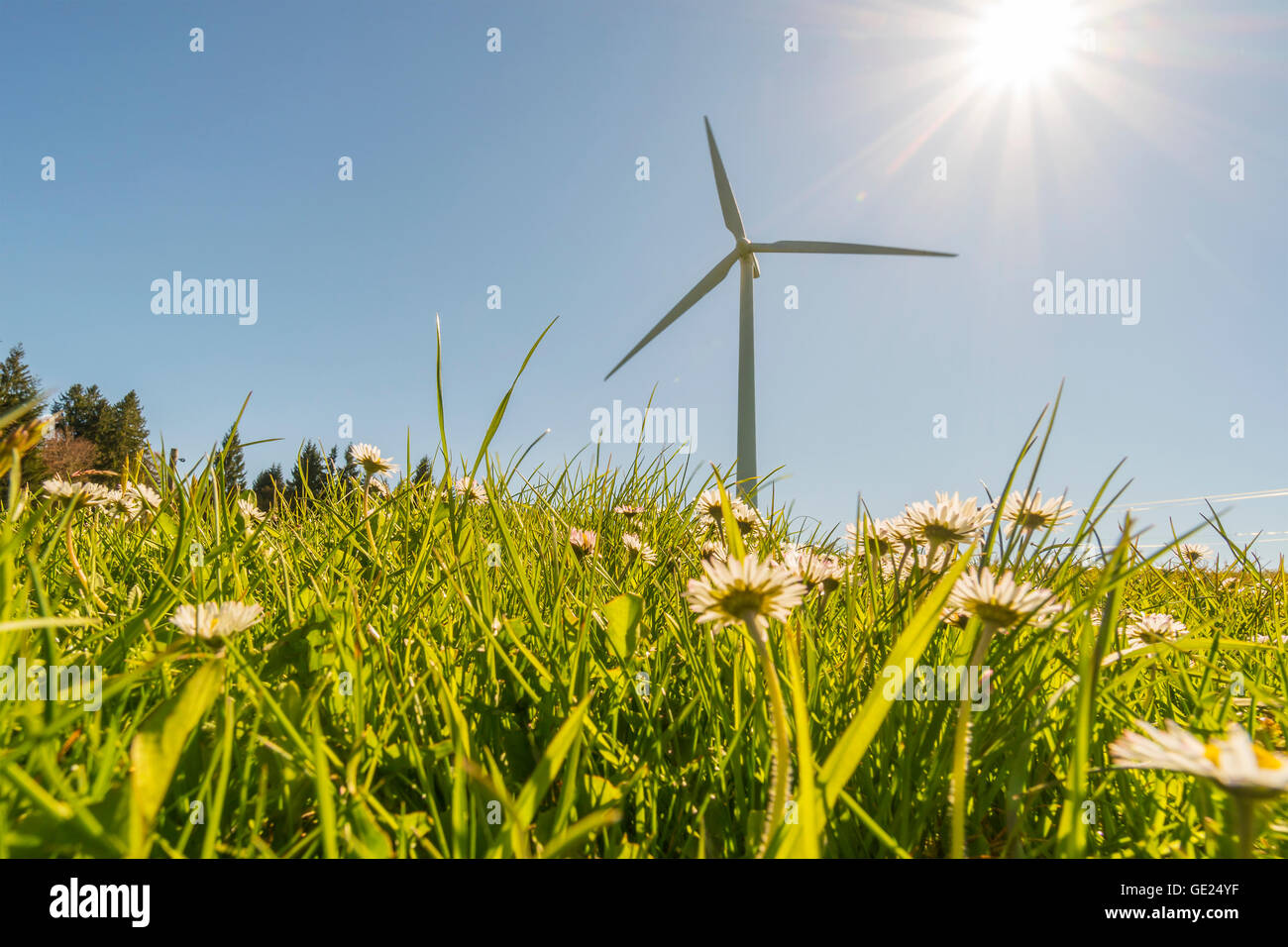 Wind mills for ecological and renewable electricity power production ...