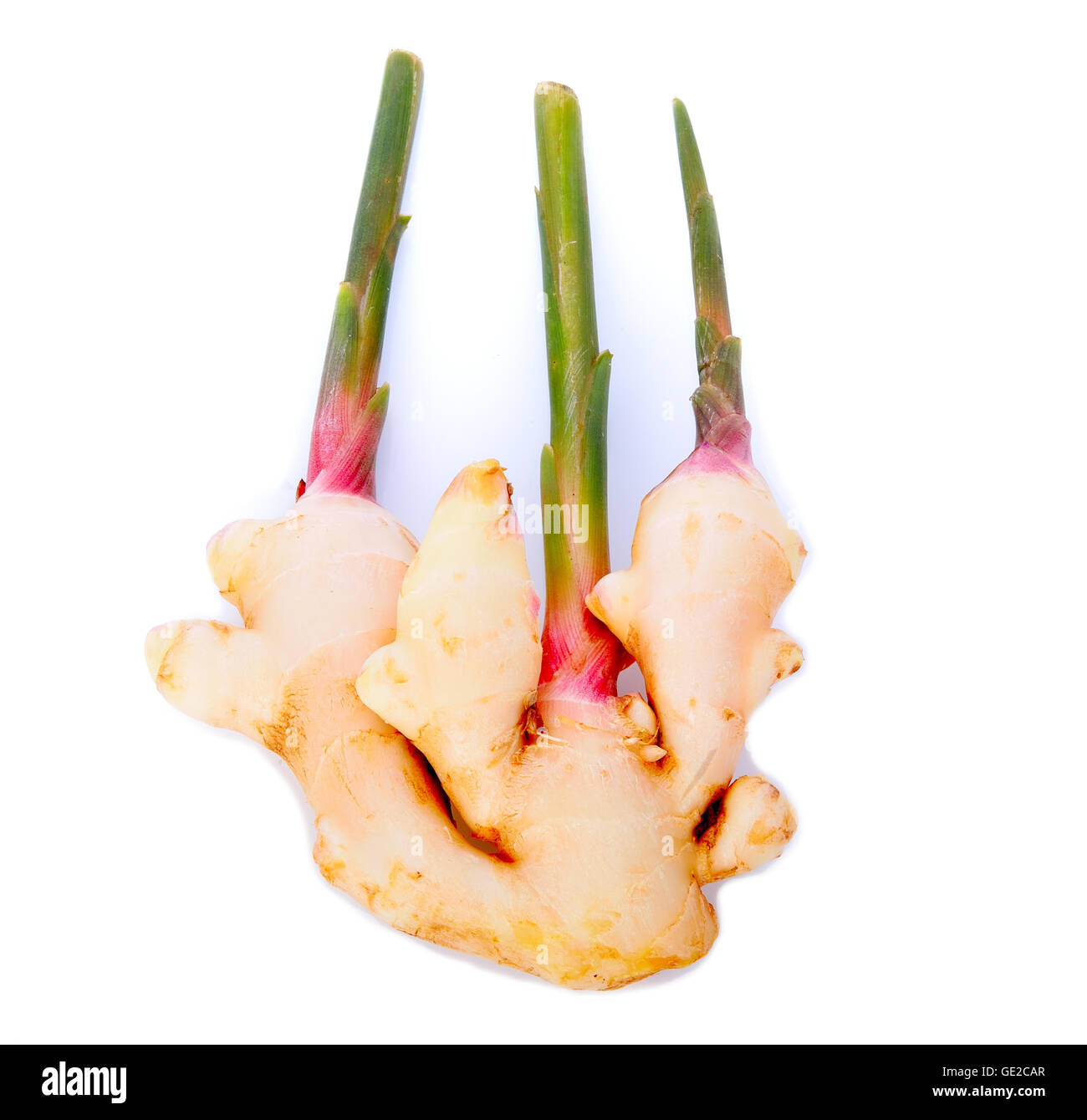 Aroma seasoning young fresh hi-res stock photography and images - Alamy