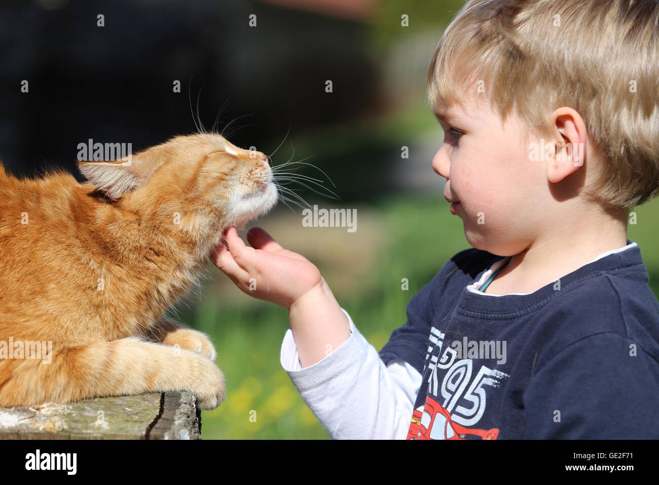 child and cat Stock Photo - Alamy