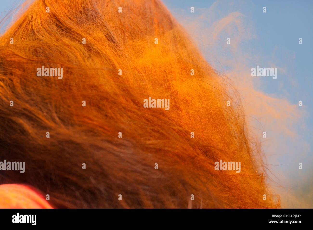 An Indian woman is shaking her head to make spread colored power in ...