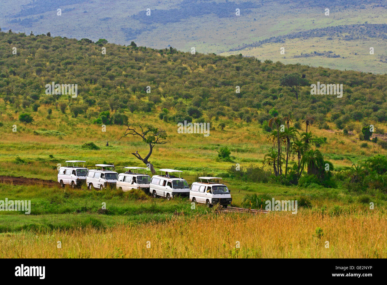 People watching animals from vehicles during safari game drive in ...