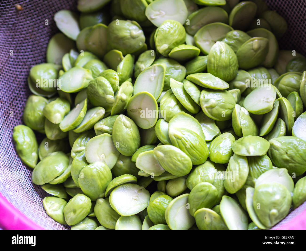 Sato seeds, Parkia speciosa seeds or bitter bean in day light Stock ...