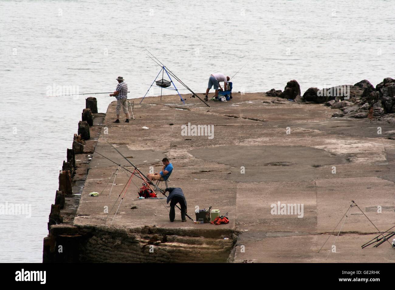 Berry head hi-res stock photography and images - Alamy