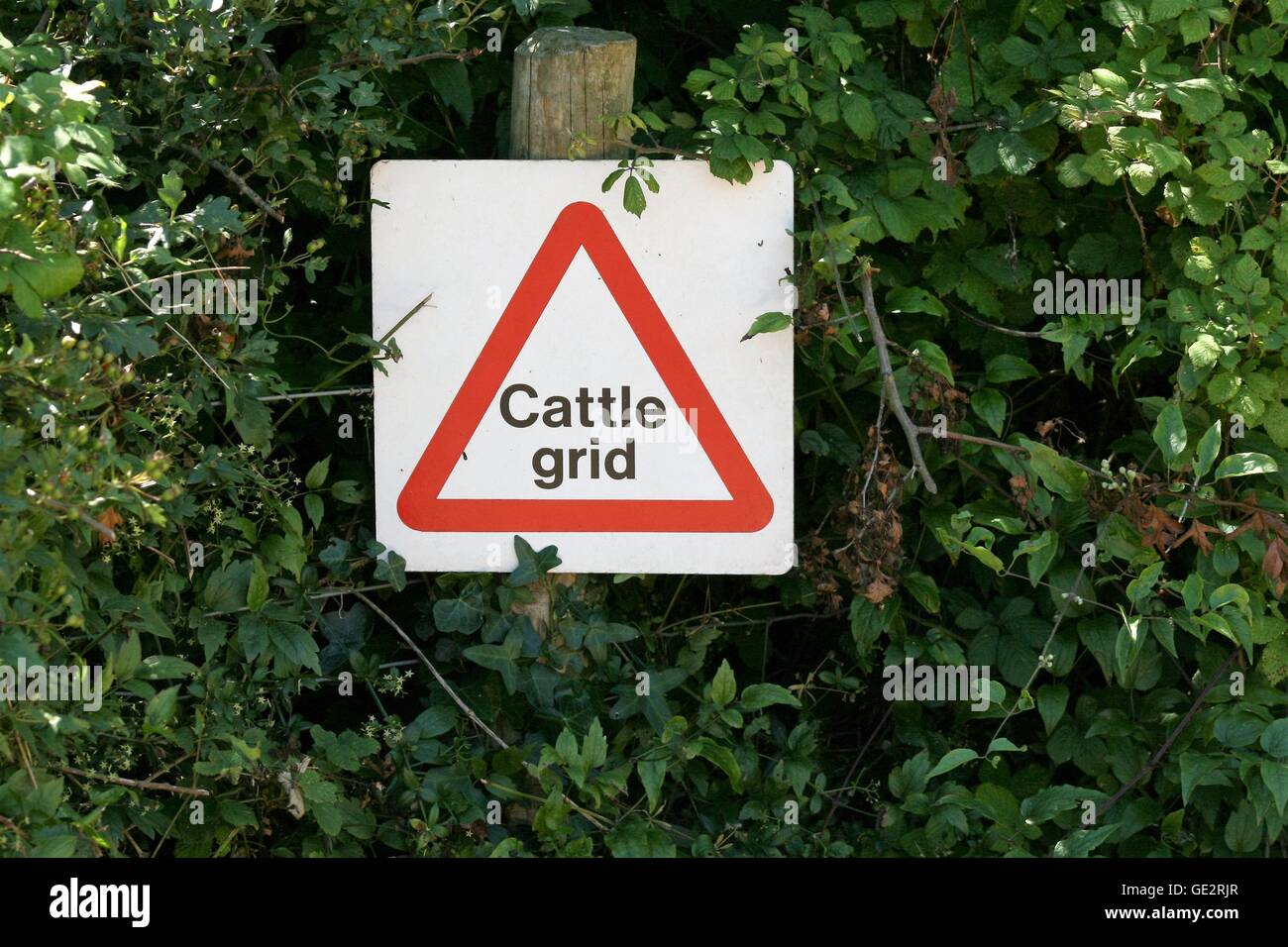 Cattle grid sign hi-res stock photography and images - Alamy