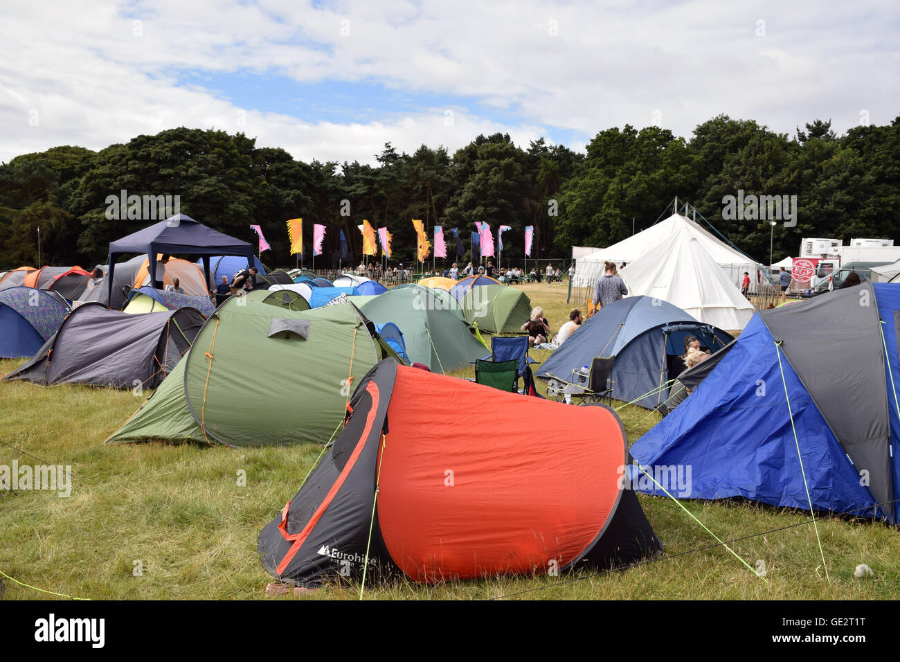 Henham park suffolk hi-res stock photography and images - Alamy