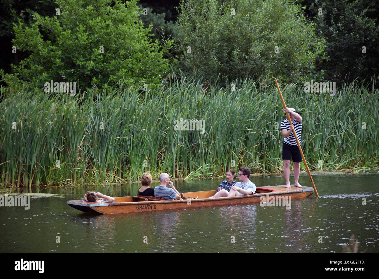 Henham park suffolk hi-res stock photography and images - Alamy