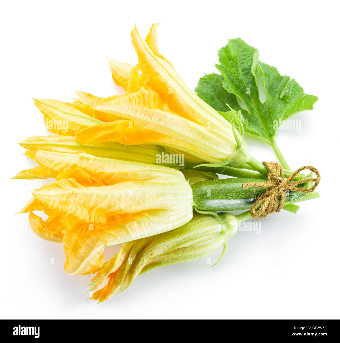 Zucchini flowers on a white background Stock Photo - Alamy