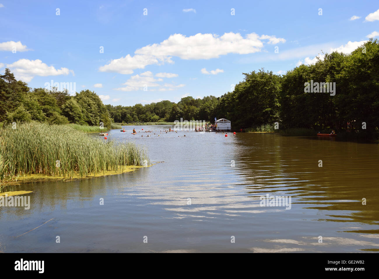In henham park hi-res stock photography and images - Alamy