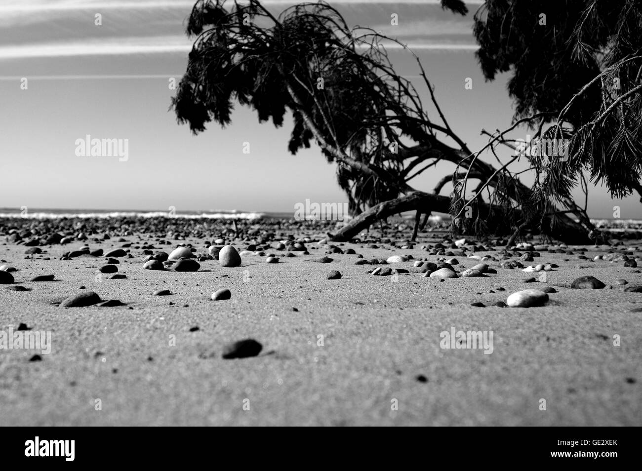 Beach, Seashore, Sea side, Strand, Seaboard, Sea, Ocean, Wild, Nature ...