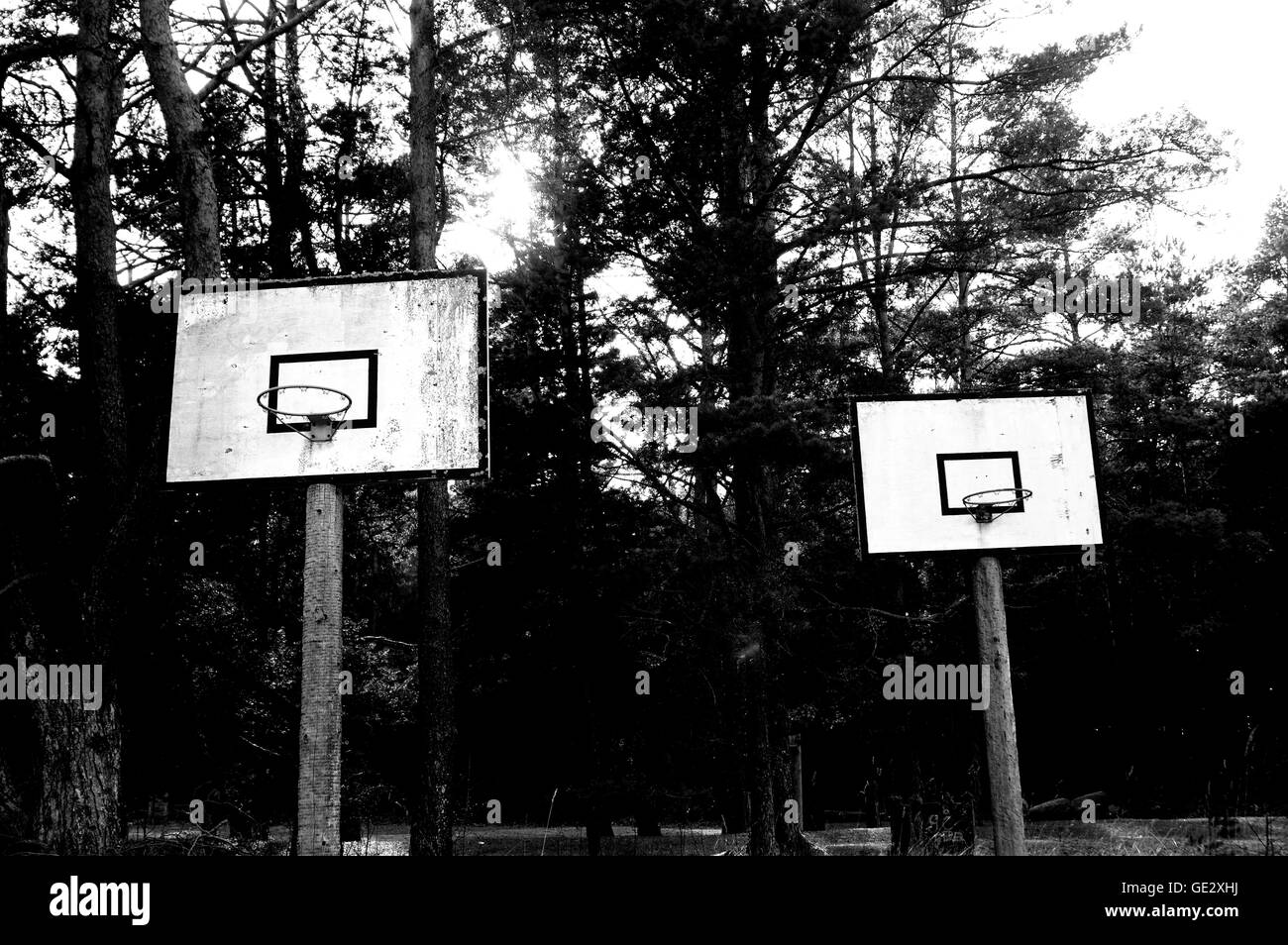 Basketball hoop, Basketball, Hoop, Sport, Sports, Perspective Stock ...