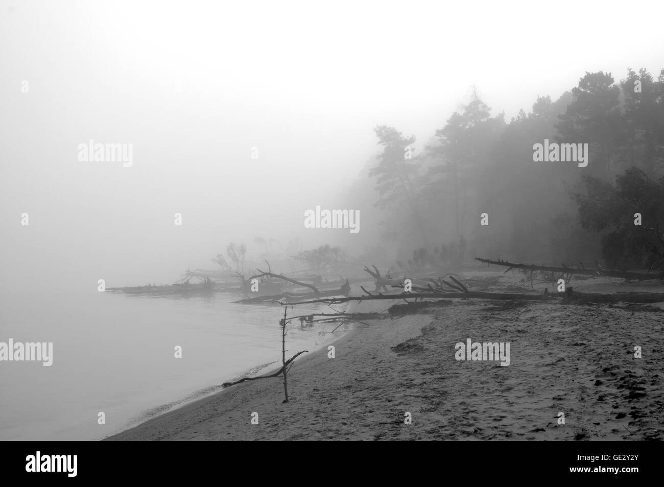 Beach, Seashore, Sea side, Strand, Seaboard, Sea, Ocean, Wild, Nature ...