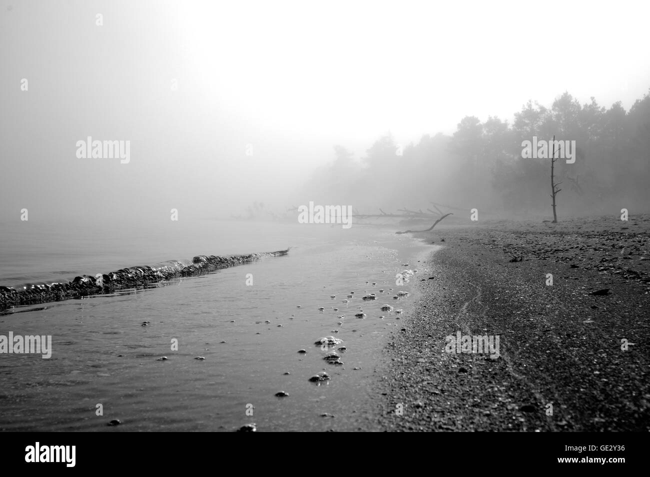 Beach, Seashore, Sea side, Strand, Seaboard, Sea, Ocean, Wild, Nature ...