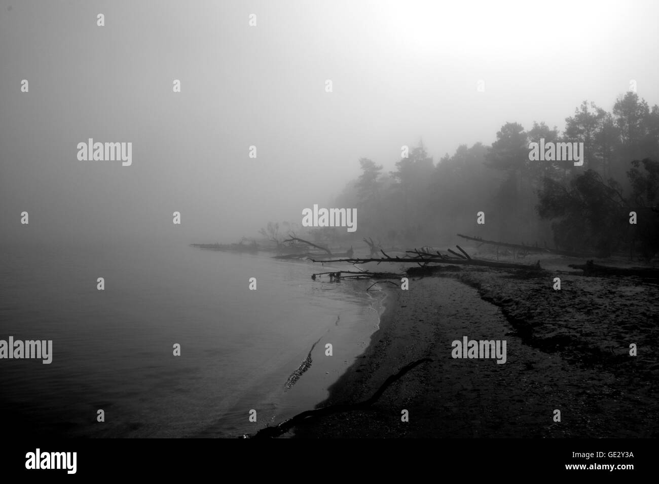 Beach, Seashore, Sea side, Strand, Seaboard, Sea, Ocean, Wild, Nature ...