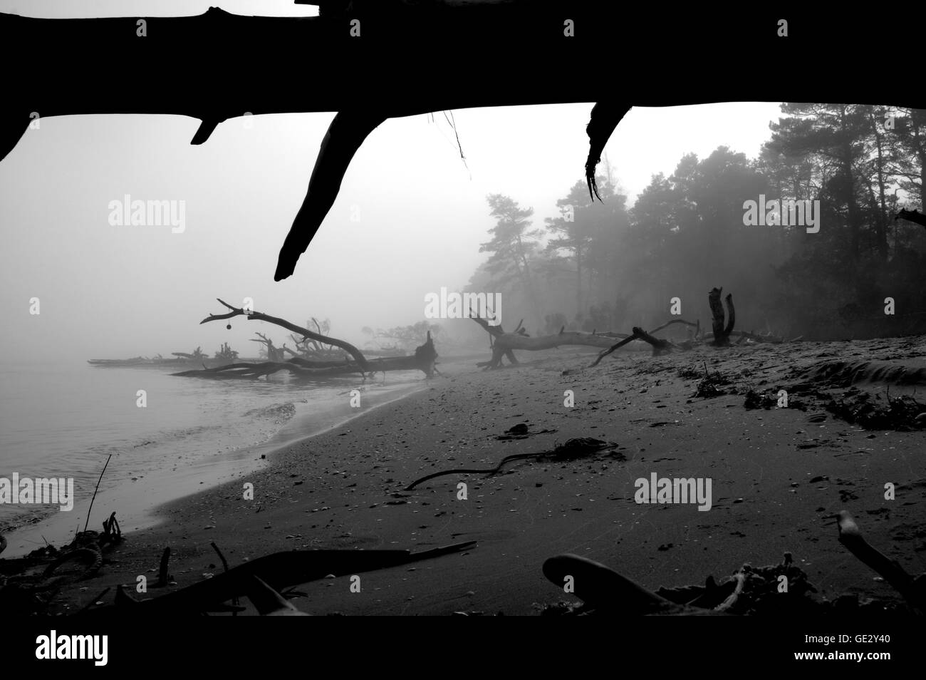 Beach, Seashore, Sea side, Strand, Seaboard, Sea, Ocean, Wild, Nature ...