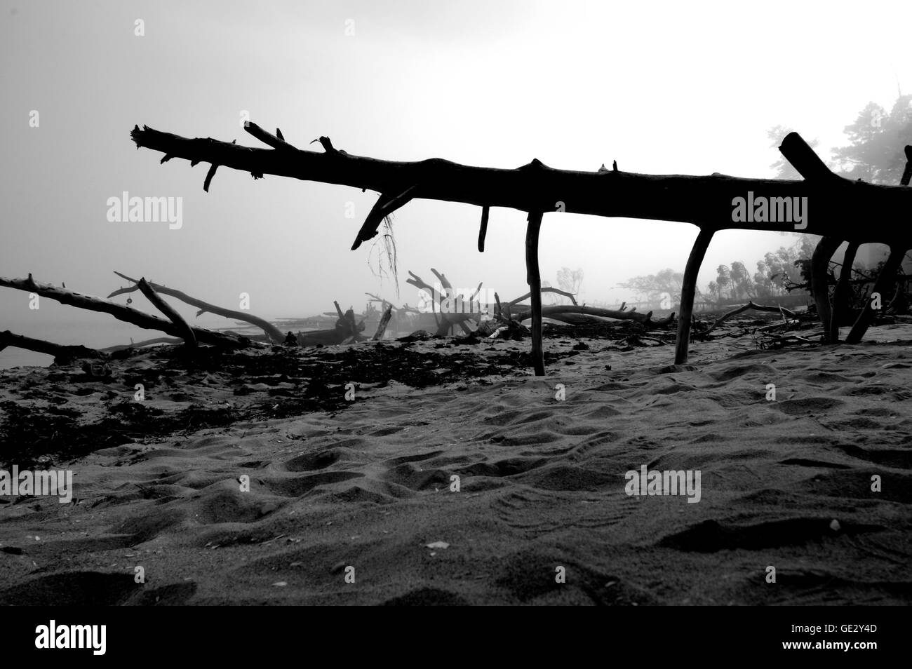 Beach, Seashore, Sea side, Strand, Seaboard, Sea, Ocean, Wild, Nature ...