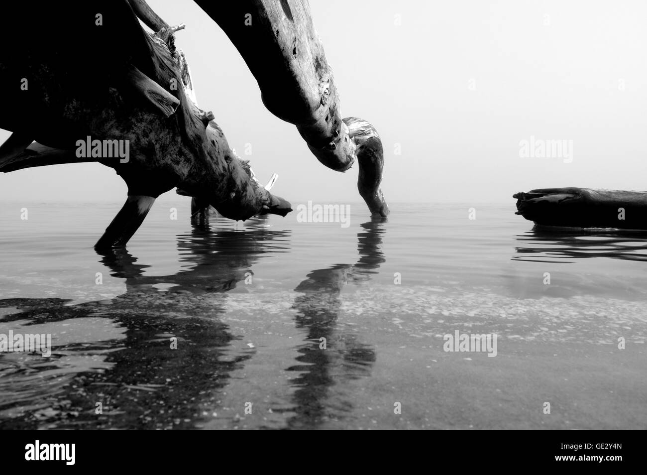 Beach, Seashore, Sea side, Strand, Seaboard, Sea, Ocean, Wild, Nature ...