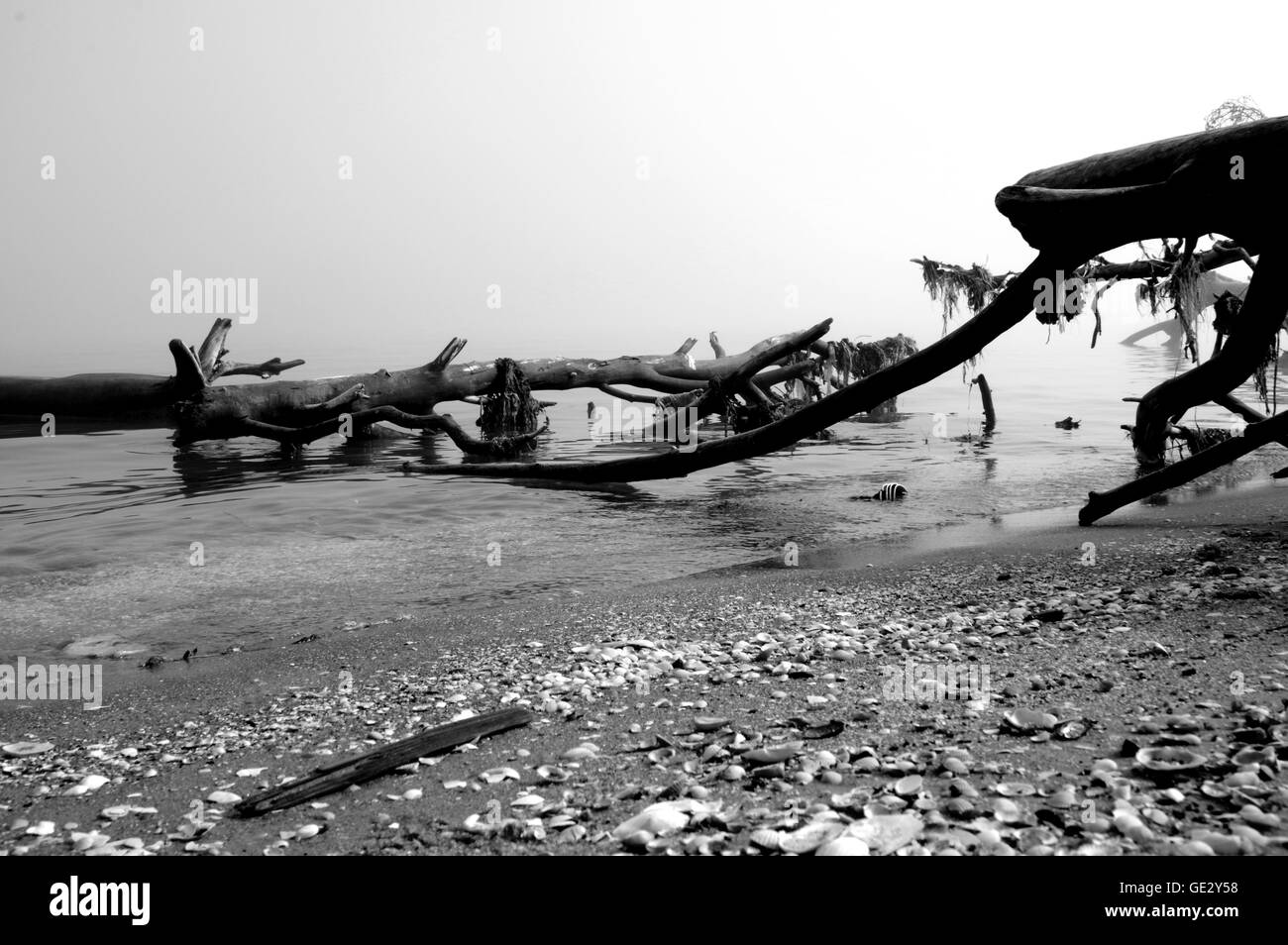 Beach, Seashore, Sea side, Strand, Seaboard, Sea, Ocean, Wild, Nature ...