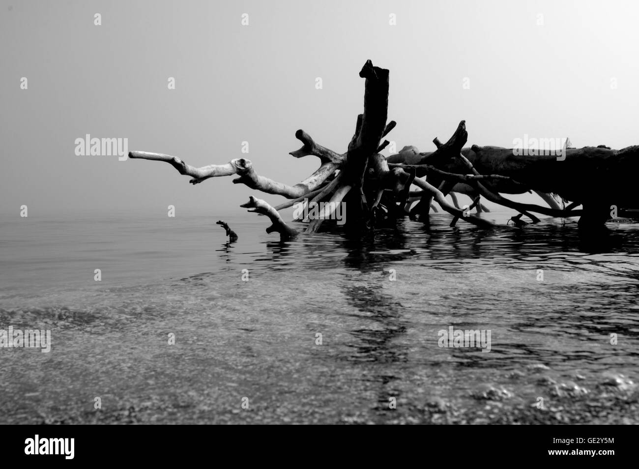 Beach, Seashore, Sea side, Strand, Seaboard, Sea, Ocean, Wild, Nature ...