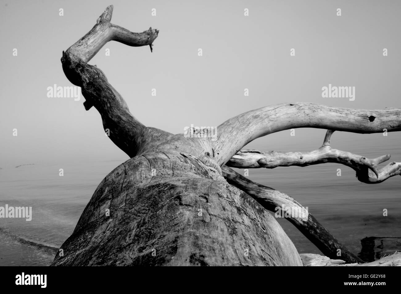 Beach, Seashore, Sea side, Strand, Seaboard, Sea, Ocean, Wild, Nature ...