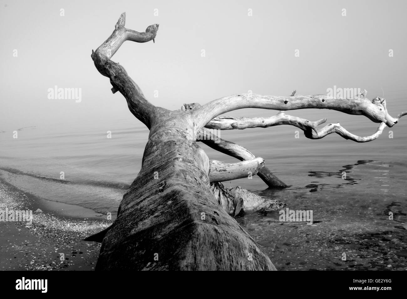 Beach, Seashore, Sea side, Strand, Seaboard, Sea, Ocean, Wild, Nature ...