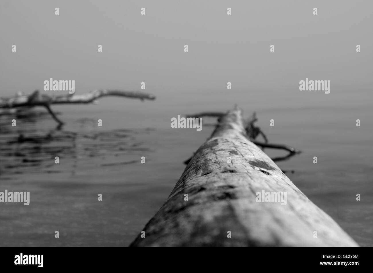 Beach, Seashore, Sea side, Strand, Seaboard, Sea, Ocean, Wild, Nature ...