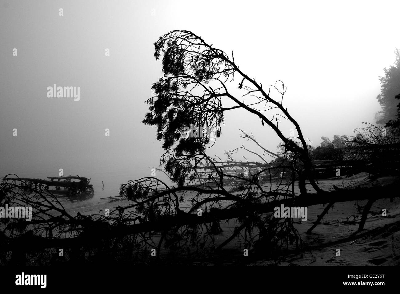 Beach, Seashore, Sea side, Strand, Seaboard, Sea, Ocean, Wild, Nature ...