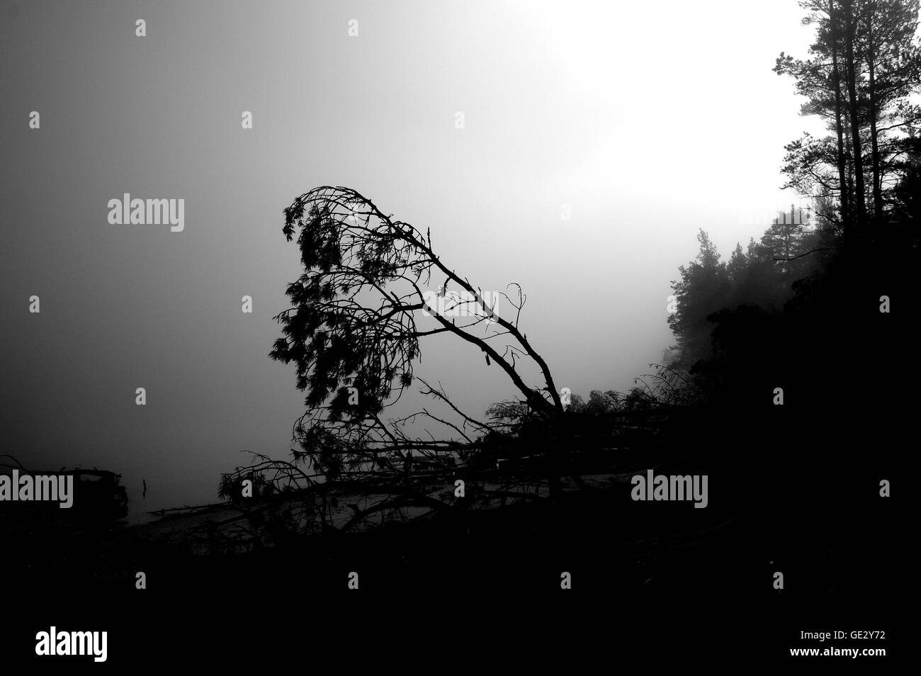 Beach, Seashore, Sea side, Strand, Seaboard, Sea, Ocean, Wild, Nature ...