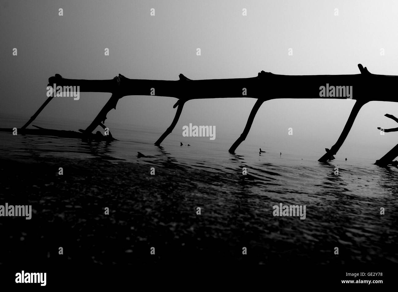 Beach, Seashore, Sea side, Strand, Seaboard, Sea, Ocean, Wild, Nature ...