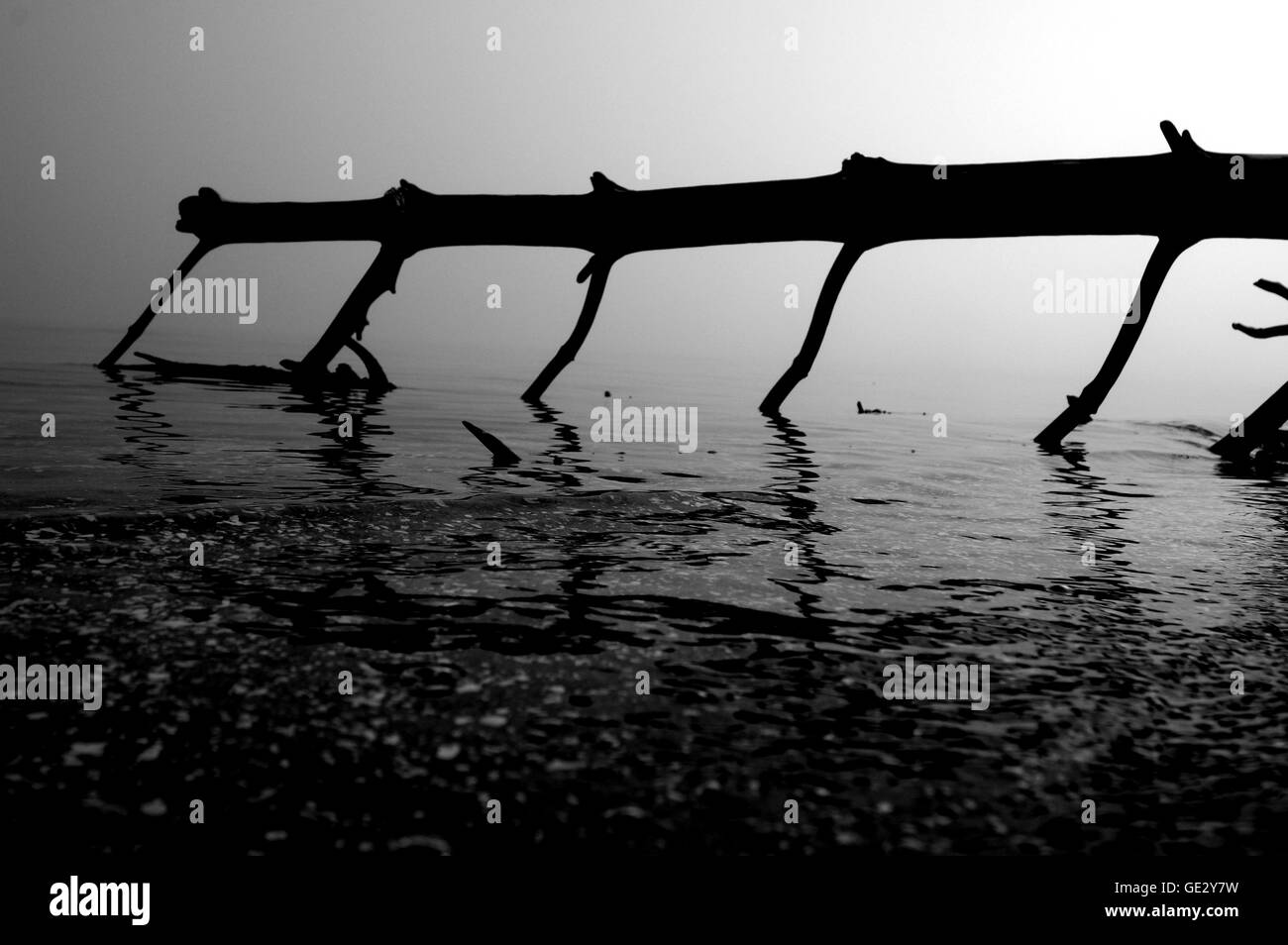 Beach, Seashore, Sea side, Strand, Seaboard, Sea, Ocean, Wild, Nature ...