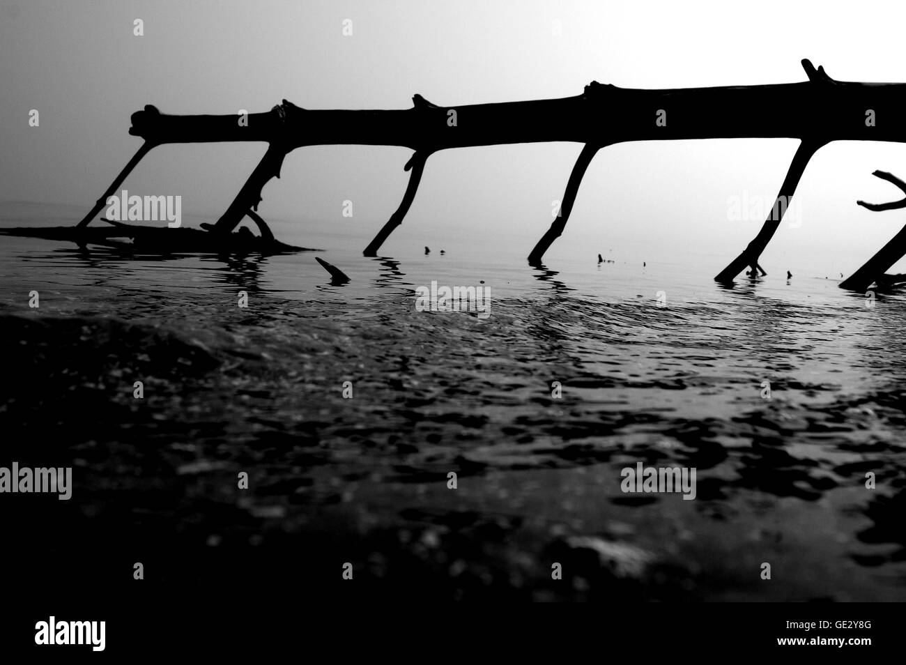 Beach, Seashore, Sea side, Strand, Seaboard, Sea, Ocean, Wild, Nature ...