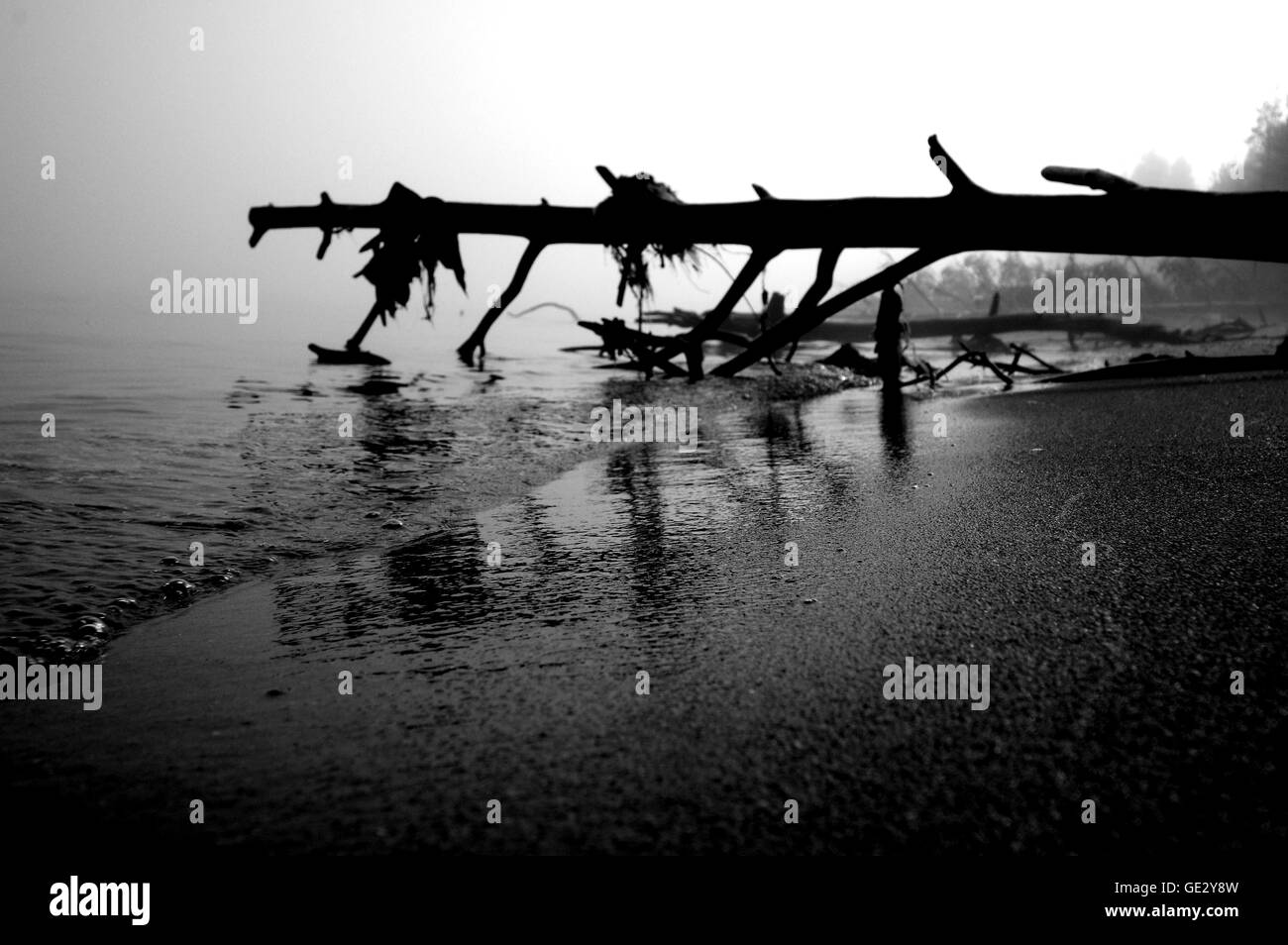 Beach, Seashore, Sea side, Strand, Seaboard, Sea, Ocean, Wild, Nature ...