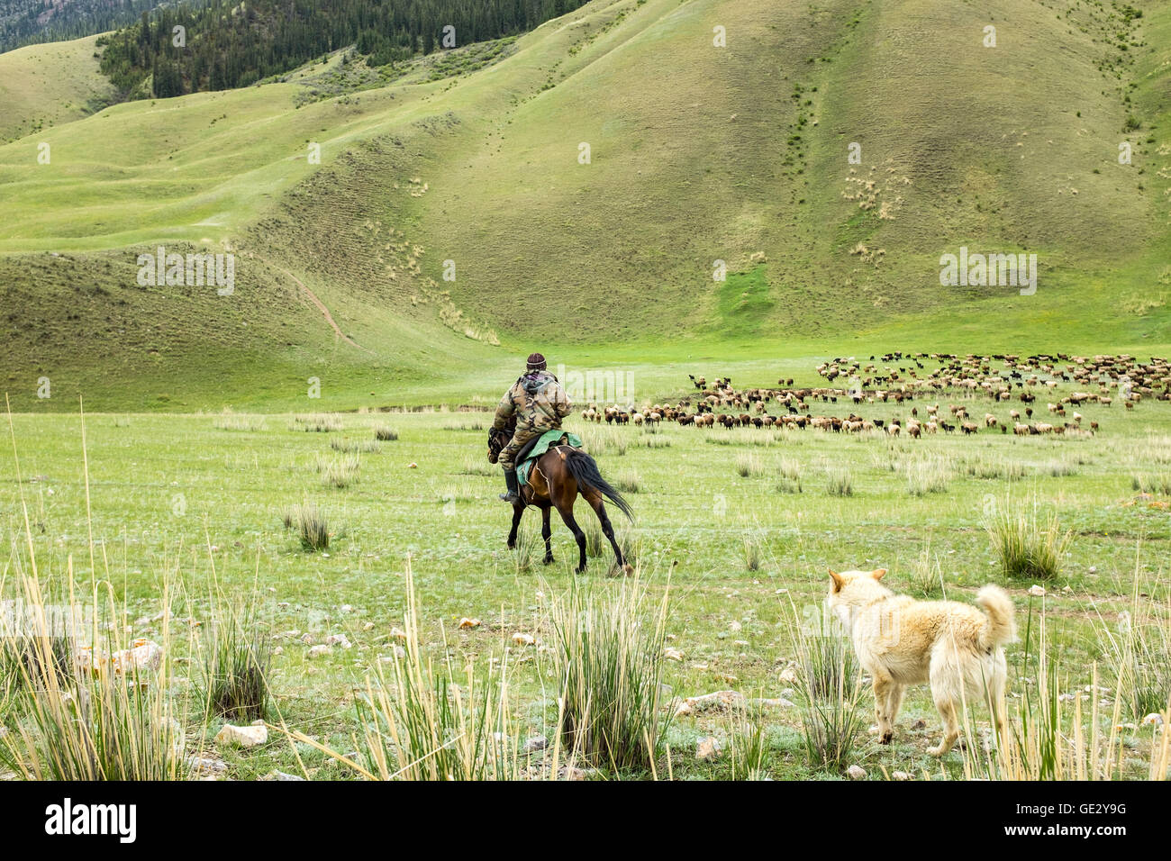 Karatal zhapyryk national reserve hi-res stock photography and images ...
