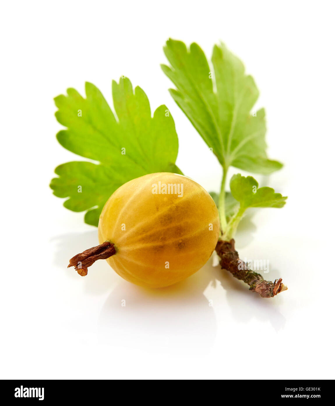 Ripe yellow gooseberry with leaves isolated on white background Stock ...