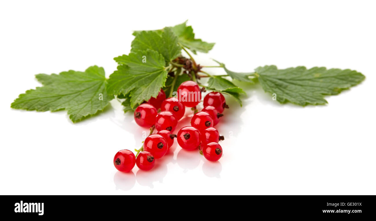 Red currant with leaves isolated on white background Stock Photo - Alamy