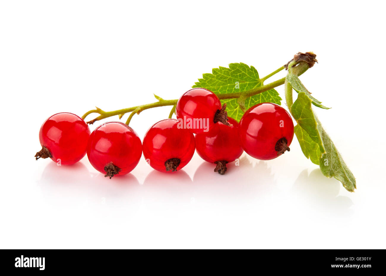 Red currant with leaves isolated on white background Stock Photo - Alamy