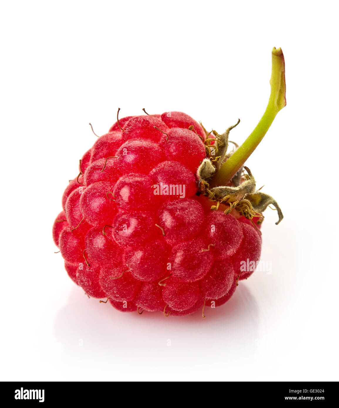 Ripe garden raspberry isolated on white background Stock Photo - Alamy