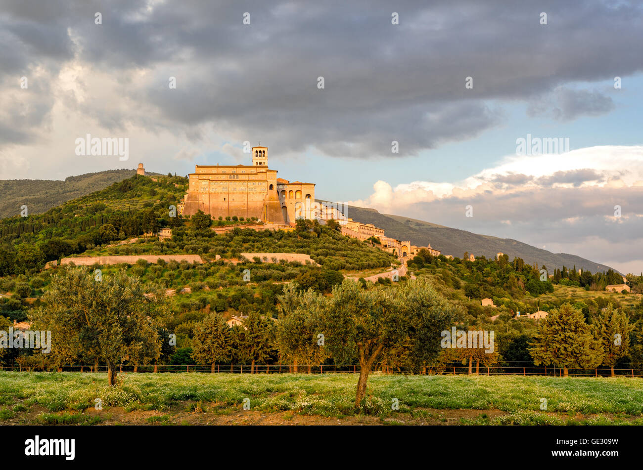 Assisi (Umbria) Basilica di San Francesco Stock Photo - Alamy