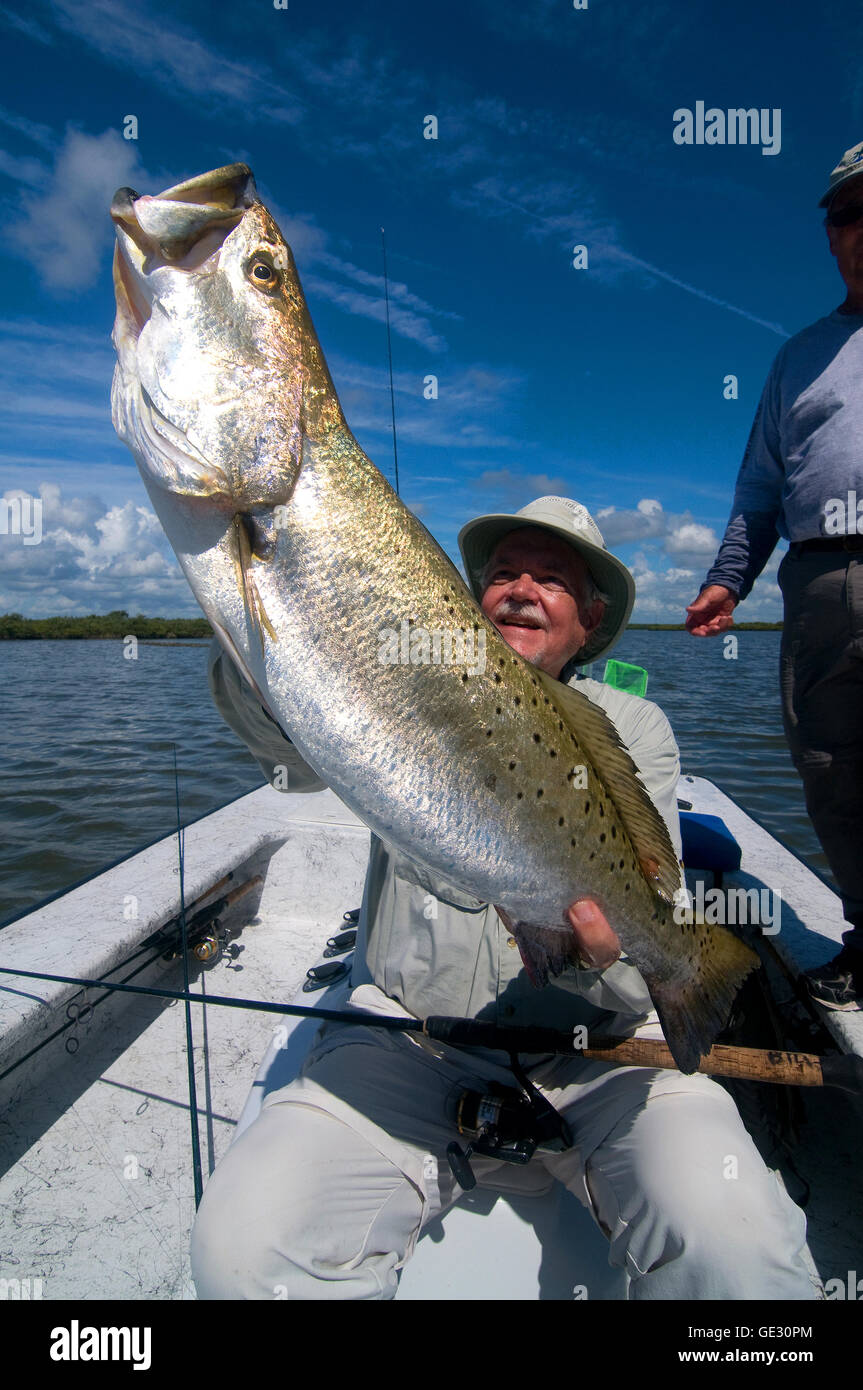 Big "Gator" trout are often caught in Florida's Mosquito Lagoon near ...