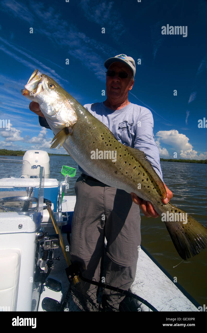 Big "Gator" trout are often caught in Florida's Mosquito Lagoon near ...