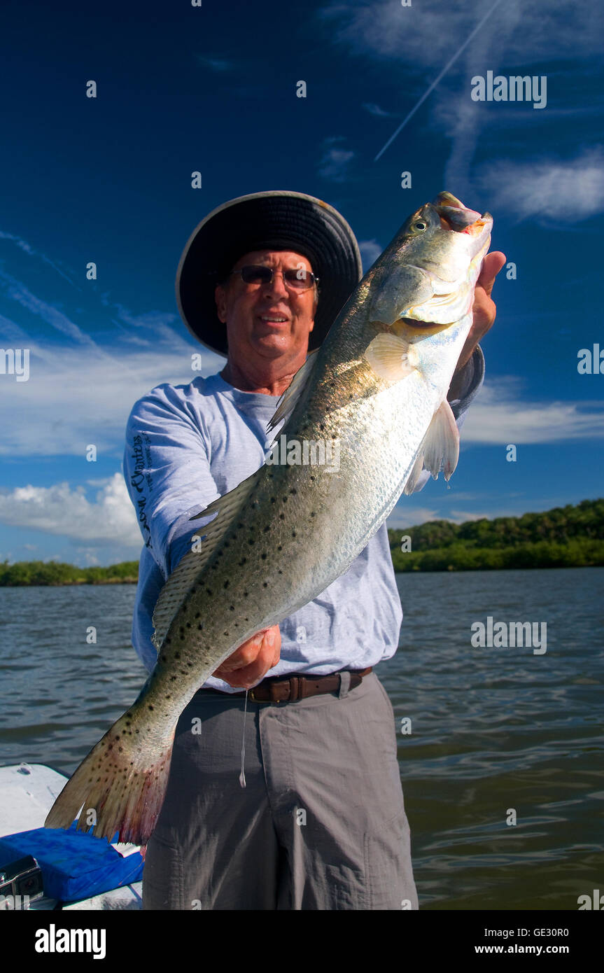 Big "Gator" trout are often caught in Florida's Mosquito Lagoon near ...